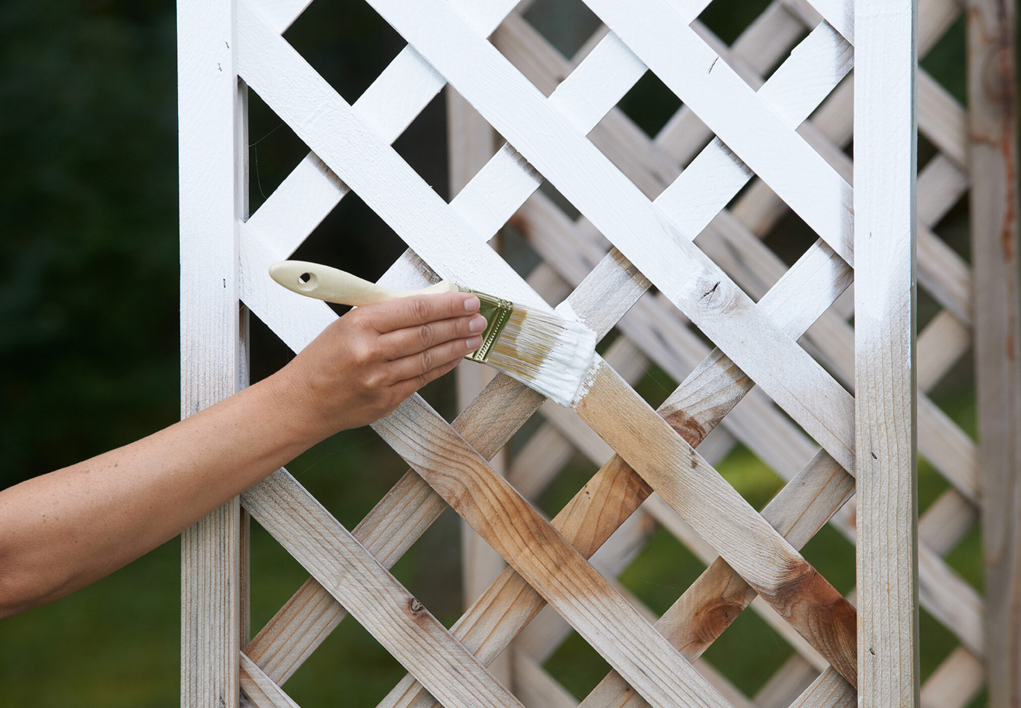 ZAR® Deck & Siding Solid Color Coating